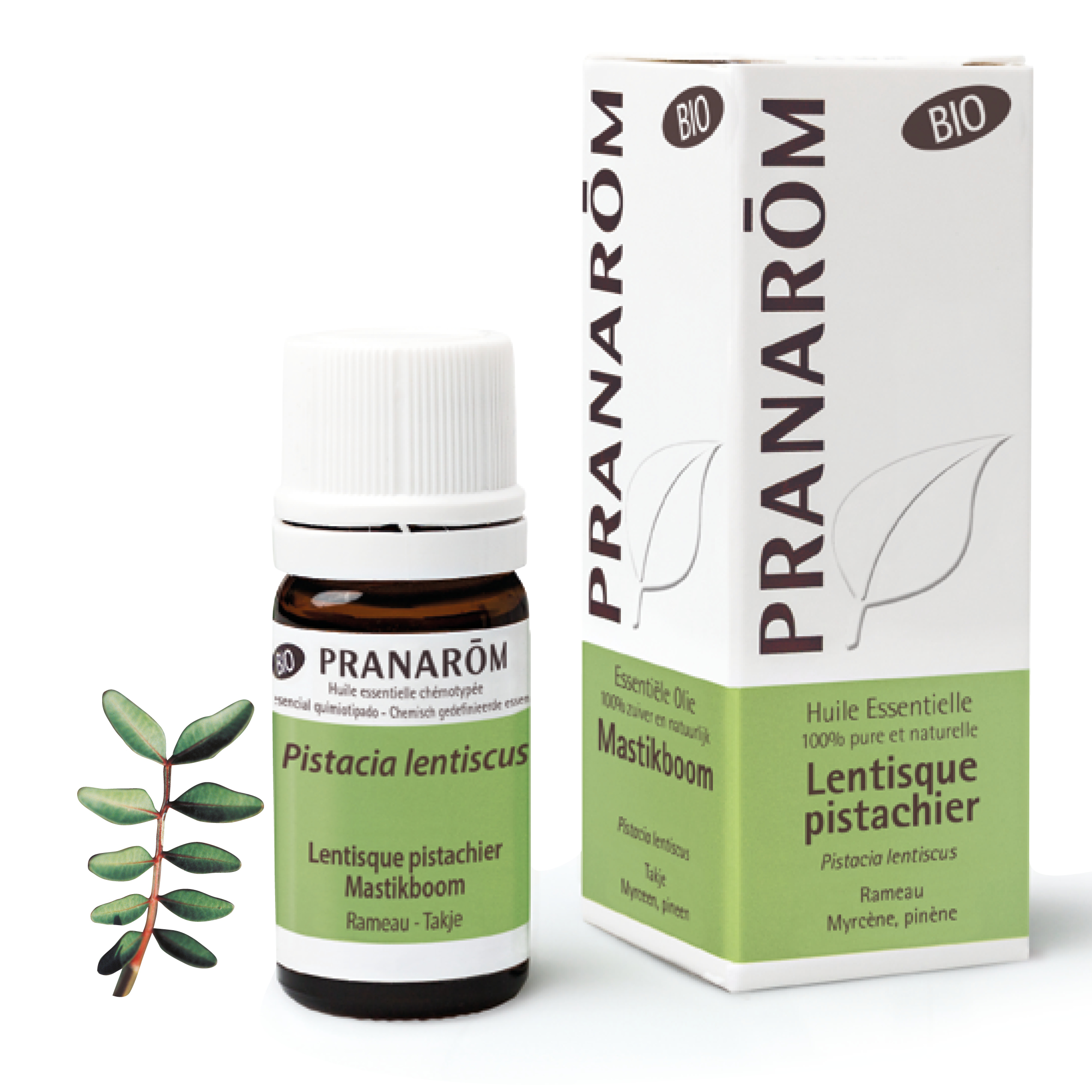Huile Essentielle De Lentisque Pistachier Bio 5ml Les Essentielles Du Huile Essentielle De Lentisque Pistachier Bio 5ml Les Essentielles Du